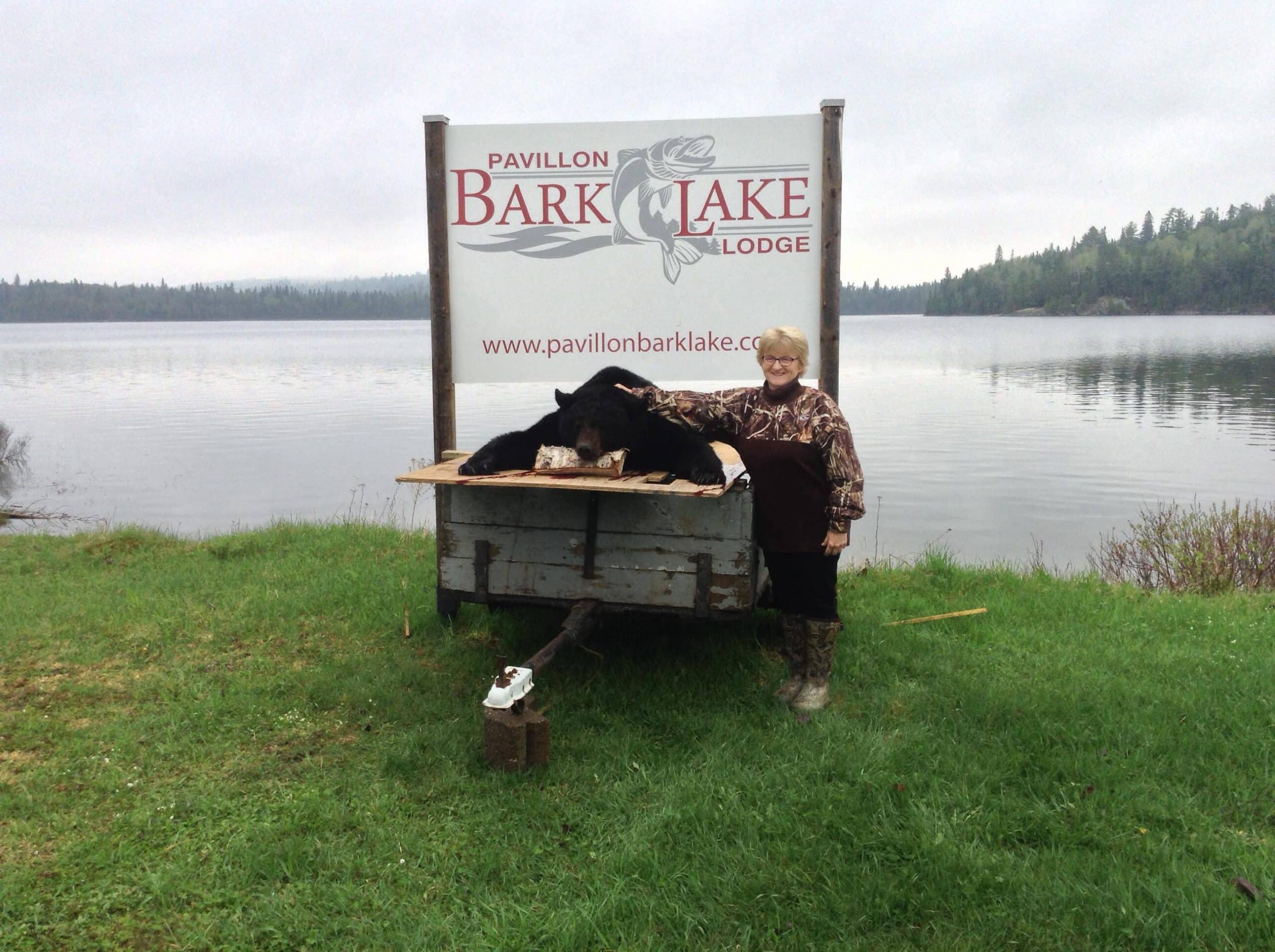 Photos - Pavillon Bark Lake