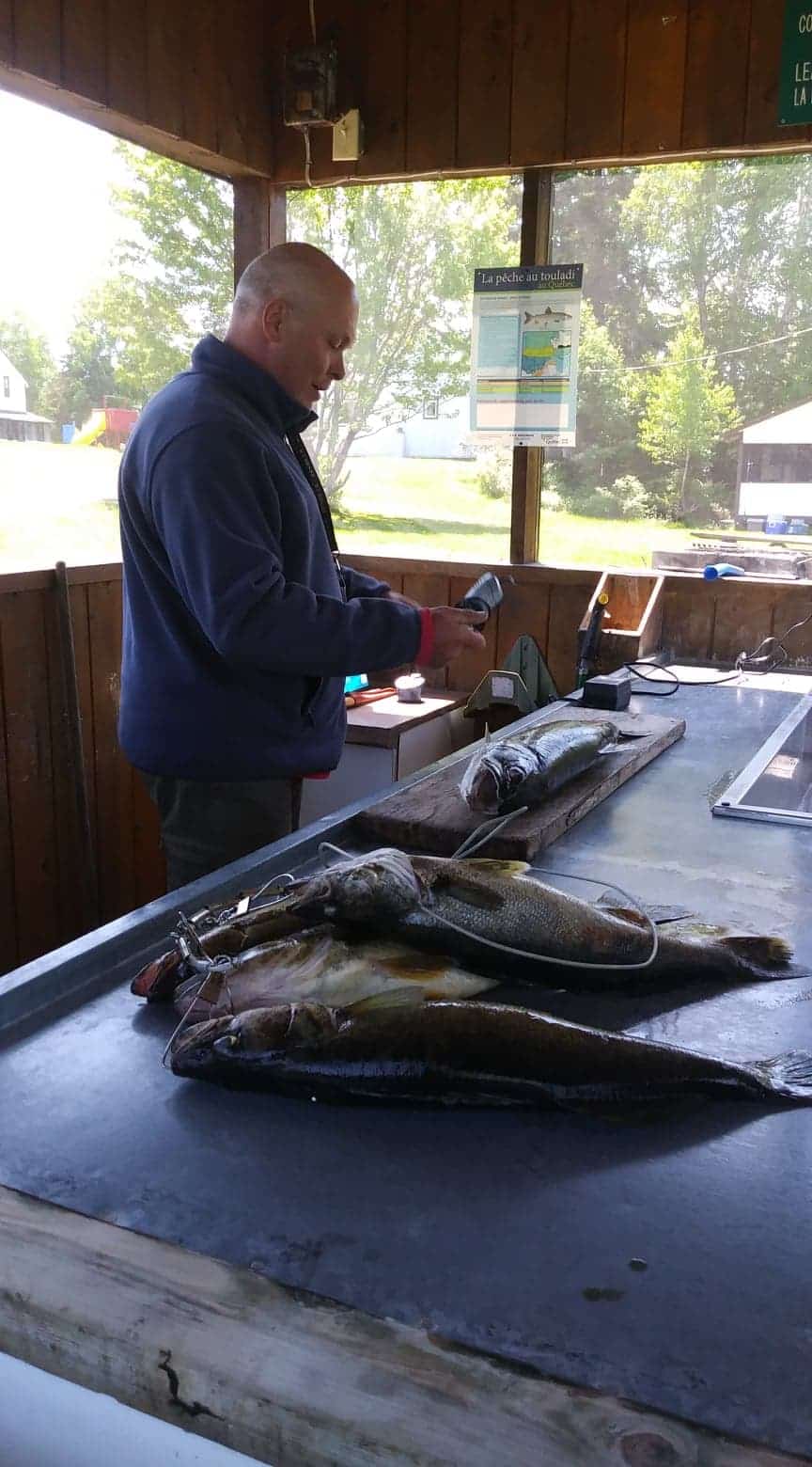 Photos - Pavillon Bark Lake