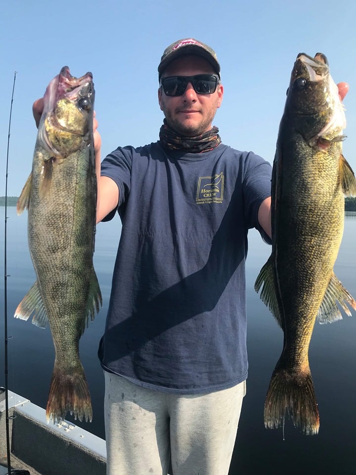 Photos - Pavillon Bark Lake