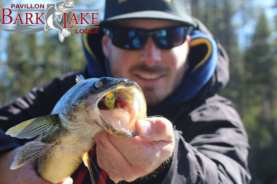 Photos - Pavillon Bark Lake