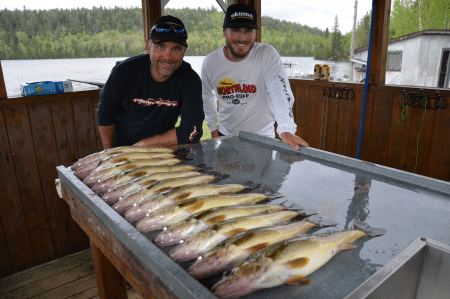 Photos - Pavillon Bark Lake