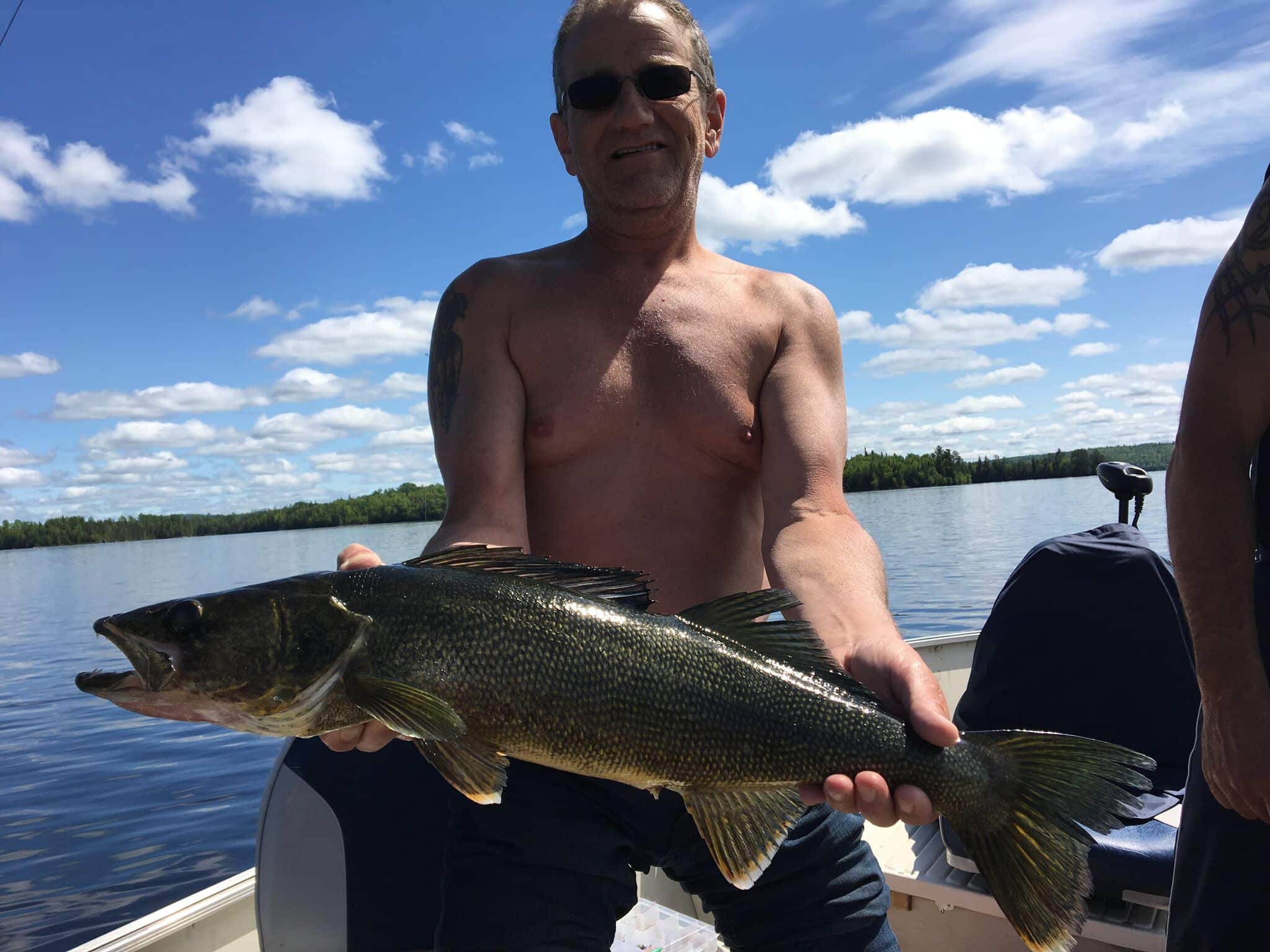 Photos - Pavillon Bark Lake