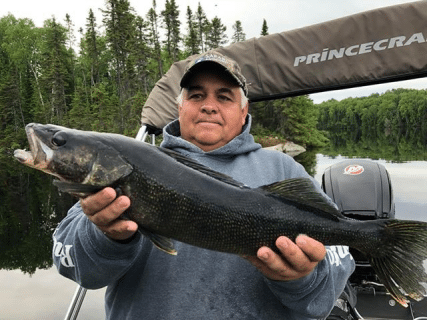 Photos - Pavillon Bark Lake