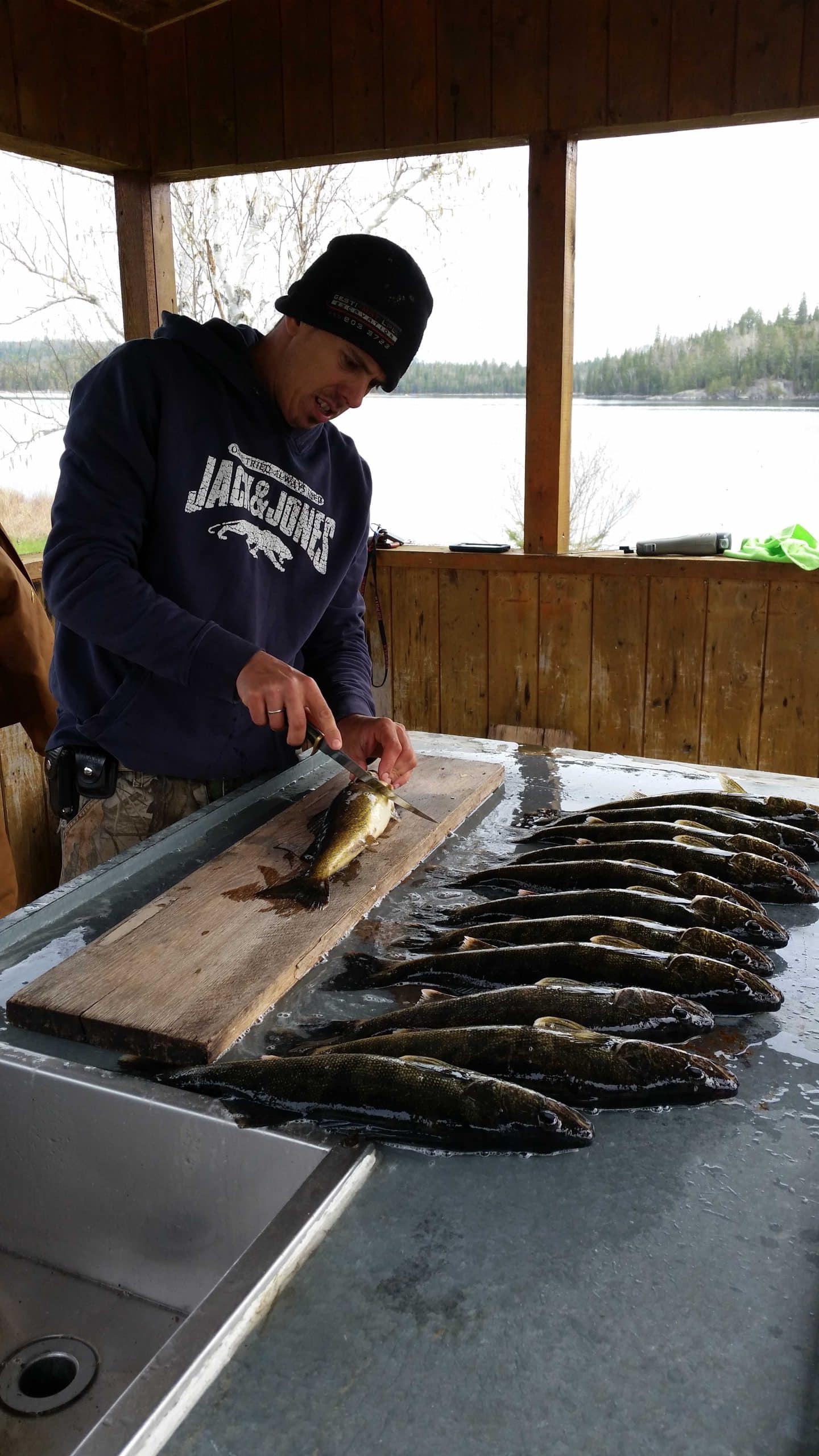 Photos - Pavillon Bark Lake