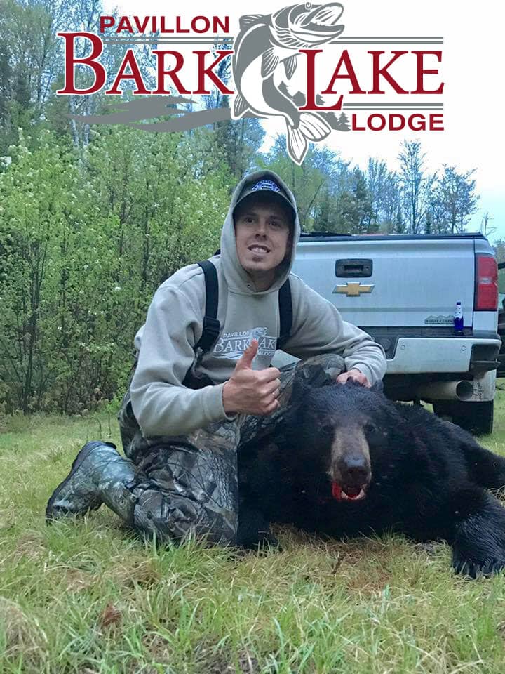 Photos - Pavillon Bark Lake