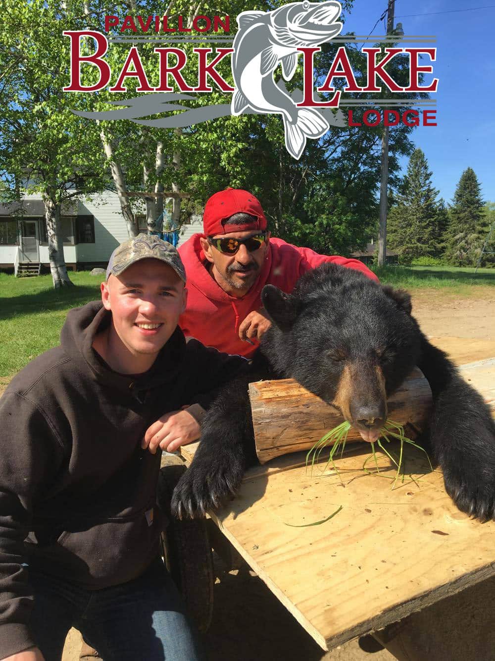 Photos - Pavillon Bark Lake