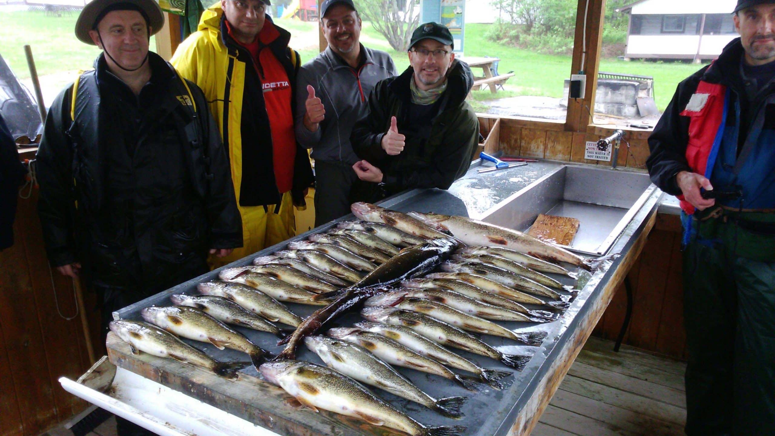 Photos - Pavillon Bark Lake